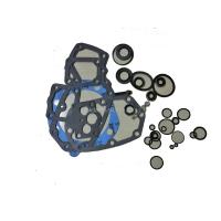 China Repair Kit 3010242 for NT855 for sale