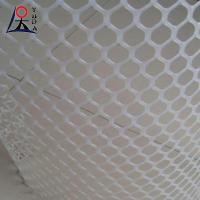 China Extruded Plastic Flat Plain Netting Poultry Fence HDPE Thick Diamond Net for sale