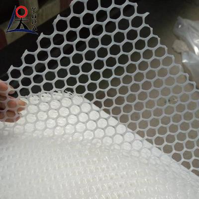 China Extruded Plastic Mesh Netting Breeding Hexagonal Plastic Mesh for sale