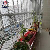 China Thickness Pe Hdpe Extruded Plastic Flat Mesh Aquaculture Breeding Net for sale