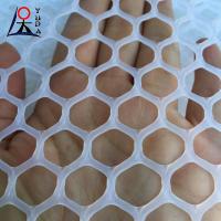 China Extruded Plastic Flat Nets Breeding Net Pp Poultry Mesh for sale