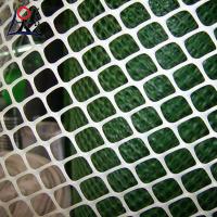 China Plastic Extrude Flat Net Flexible Pe Poultry Flat Plastic Net for sale