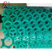 China Plastic Extrude Flat Net Flexible Pe Poultry Flat Plastic Net for sale