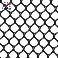 China HDPE Rigid Plastic Mesh Net Pe Extruded Plain Mesh Breeding Net for sale