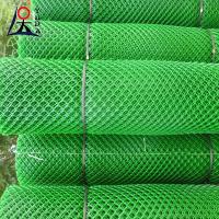 China Hexagonal Pe Plastic Flat Net Green Chicken Plastic Mesh Rolls for sale