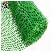 China 400g White Green Pe Plastic Net Chicken Garden Net Mesh for sale