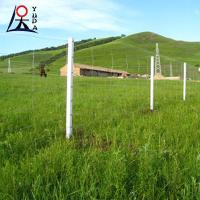 China Farm Grassland Fence With Fence Posts Galvanized High Tensile Wire Fence for sale