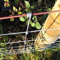 China High Tensile Galvanized Field Fence for Cattle and Deer for sale