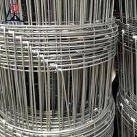 China Poultry Galvanized Iron Wire Mesh Hinge Joint Field Goat Horse Field Fence for sale