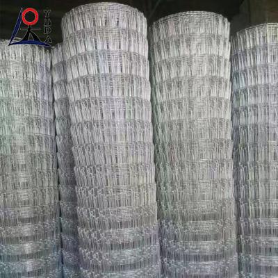China Hot Dip Galvanized Field Fence for Grassland and Sheep for sale