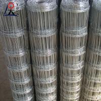 China Hot Dip Galvanized Field Fence for Grassland and Sheep for sale