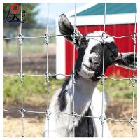 China Grassland Weave Iron Wire Mesh Field Fence For Cattle Metal Net for sale