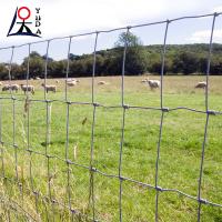 China Grassland Mesh Galvanized Cattle Fence / Deer Fence High Tensile Field Fence 50m 100m for sale