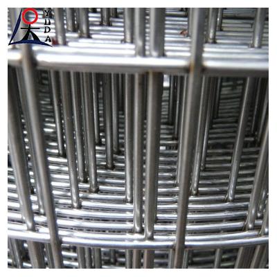 China Galvanized Welded Wire Mesh Fence Roll 2x2 Fine Wire Diameter for sale
