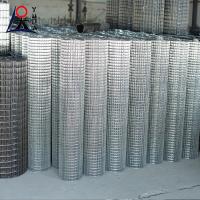 China Galvanized Welded Wire Mesh Fence Rolls Aviary Rabbit Hutch Chicken Mesh for sale