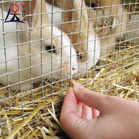 China Welded Wire Mesh Fence Roll Bird Cage Weld Iron Wire Aviary Mesh for sale