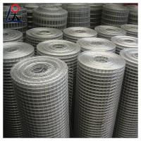 China Galvanized / PVC Coated / Stainless Steel Welded Wire Mesh Fence for sale