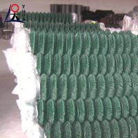 China Garden Temporary Fence Gate Galvanized Cyclone Iron Wire Mesh Panels for sale