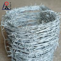 China 3 Strand Security Barbed Wire Single 14 Gauge Galvanized Fence Rolls Barbed Wire for sale