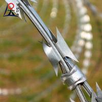 China Anti Climbing Fence Protective Wire Hot Dipped Galvanized Razor Barbed Wire for sale