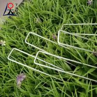 China Landscape Sod Garden Staples Grass Fixing Pins Galvanized Staples Sample Free Sample For Building Construction for sale