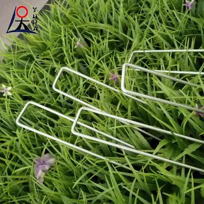 China Landscape Sod Garden Staples Grass Fixing Pins Galvanized Staples Sample Free Sample For Building Construction for sale