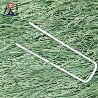 China Free Sample Galvanized Artifical Grass Nails Ground Nails Type Of Soil for sale