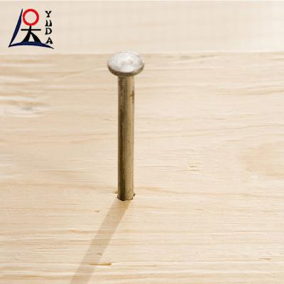 China Q195 Carbon Steel Polished Common Nails Durable Fastening for sale