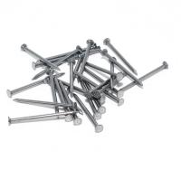 China Carton Construction Common Iron Nails Ton Wire For Wood for sale