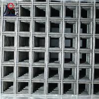 China Customized Plant Welded Wire Mesh Roll Galvanized Weld Netting Fence Panel for sale