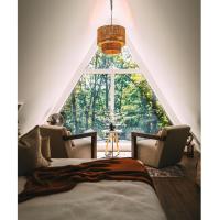 China Steel Structure Triangular Wooden House for sale