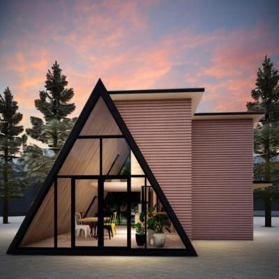 China Detachable Container and Aluminum Alloy Windows CE EU Certified Modern Luxury Prefab Triangle House for Office or Warehouse for sale