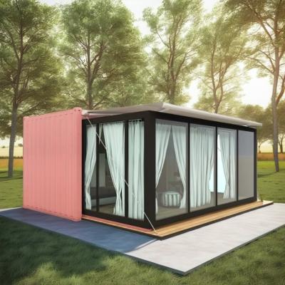 China Alluminum Alloy Window Portable Home for Apartments Ready-Made 40Ft Expandable Prefab Steel Structure for sale