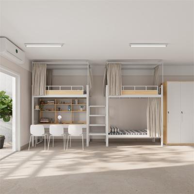 China Modern Student Bunk Bed with Desk 4600x900x2400mm Dormitory Furniture with 12mm Splints and 5cm Mattress for sale