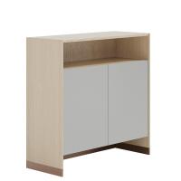 China ISO9001 Certified Apartment Shoe Cabinet 800x400x820mm Customizable Durable Storage Furniture for sale
