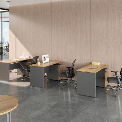 China 1000N Load Capacity Adjustable Height Office Desk Single Workspace with Storage Cabinet for sale