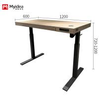 China Silent Single Motor Lifting Desk Executive Office Desk with Storage 450lb Capacity E0 Grade for sale