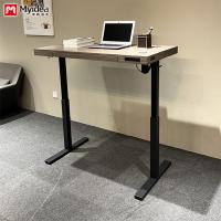 China Silent Single Motor Lifting Desk Executive Office Desk with Storage 450lb Capacity E0 Grade for sale