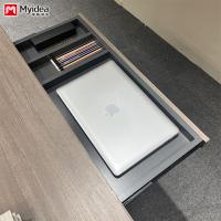 China Silent Single Motor Lifting Desk Executive Office Desk with Storage 450lb Capacity E0 Grade for sale