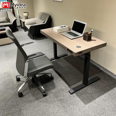 China Silent Single Motor Lifting Desk Executive Office Desk with Storage 450lb Capacity E0 Grade for sale