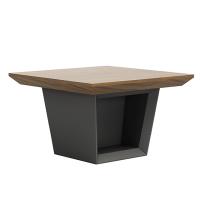 China Elegant High-End Tea Table Low Coffee Table for Hotel Lobby Office Furniture 120x60x40cm for sale