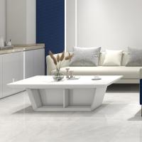China Elegant High-End Tea Table Low Coffee Table for Hotel Lobby Office Furniture 120x60x40cm for sale
