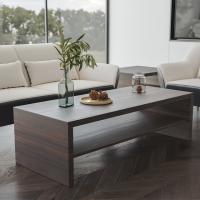 China Small Coffee Table with Two-Layer Storage, 80x50x45 cm Living Room Side Table for sale