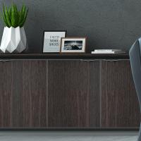 China Dark Color Side Cabinet Office Storage Cabinet MFC E0 Grade 3 Year Shelf Life for sale