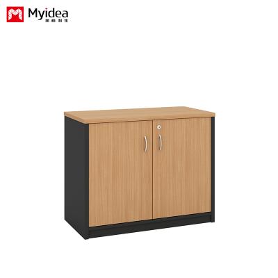 China Double Door Lockable Filing Cabinet 450lb Capacity Wall Mounted Low Cabinet Customizable Classified Storage for sale