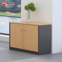 China Double Door Lockable Filing Cabinet 450lb Capacity Wall Mounted Low Cabinet Customizable Classified Storage for sale