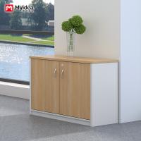 China Double Door Lockable Filing Cabinet 450lb Capacity Wall Mounted Low Cabinet Customizable Classified Storage for sale