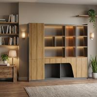China Dark Wood Grain File Cabinet, Storage Cabinet Suitable for Offices, Equipped with Light Strips and Glass Doors for sale