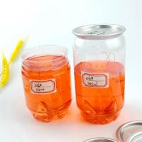 China Easy Open Ends Lid 250ml Plastic Bottle Can For Juice Drinks for sale