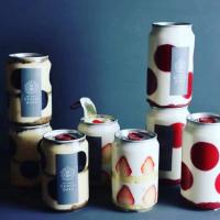 China Easy Open End 52mm Neck Plastic Soda Cans With EOE 250ml for sale
